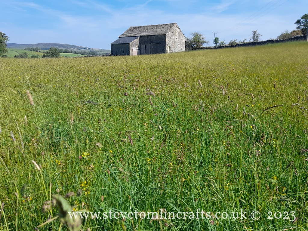 No Mow May 2024 | Steve Tomlin Crafts