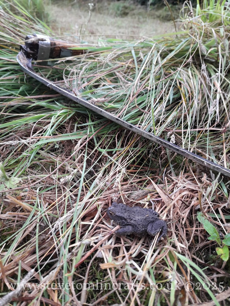 Scything with toads and frogs | Steve Tomlin Crafts